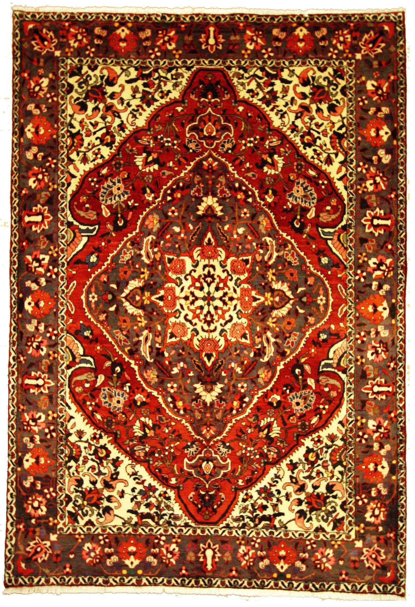Red 6' 10 x 9' 11 Hand Knotted Bakhtiar Persian Wool Rug | eSaleRugs