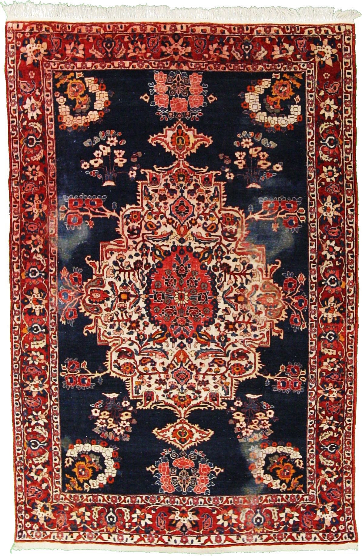 Navy Blue 7' x 10' 7 Hand Knotted Bakhtiar Persian Wool Rug | eSaleRugs