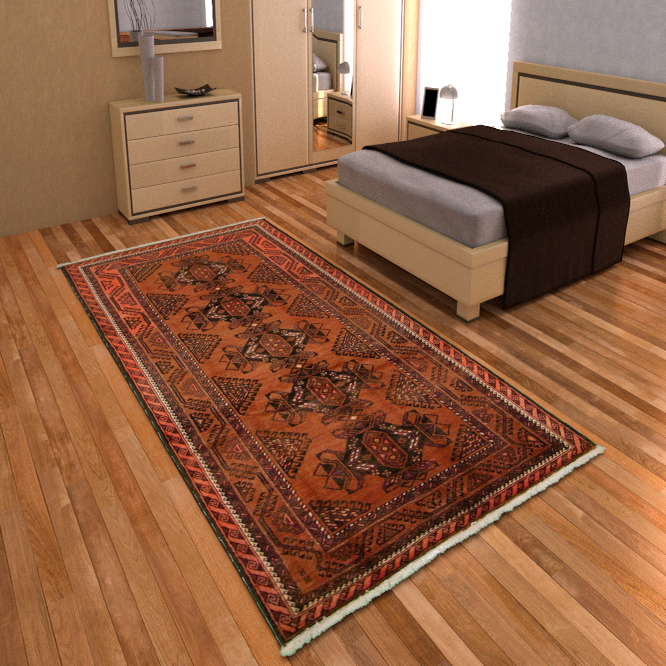 Rust Red 5' 3 x 10' 2 Hand Knotted Shiraz Persian Wool Rug | eSaleRugs