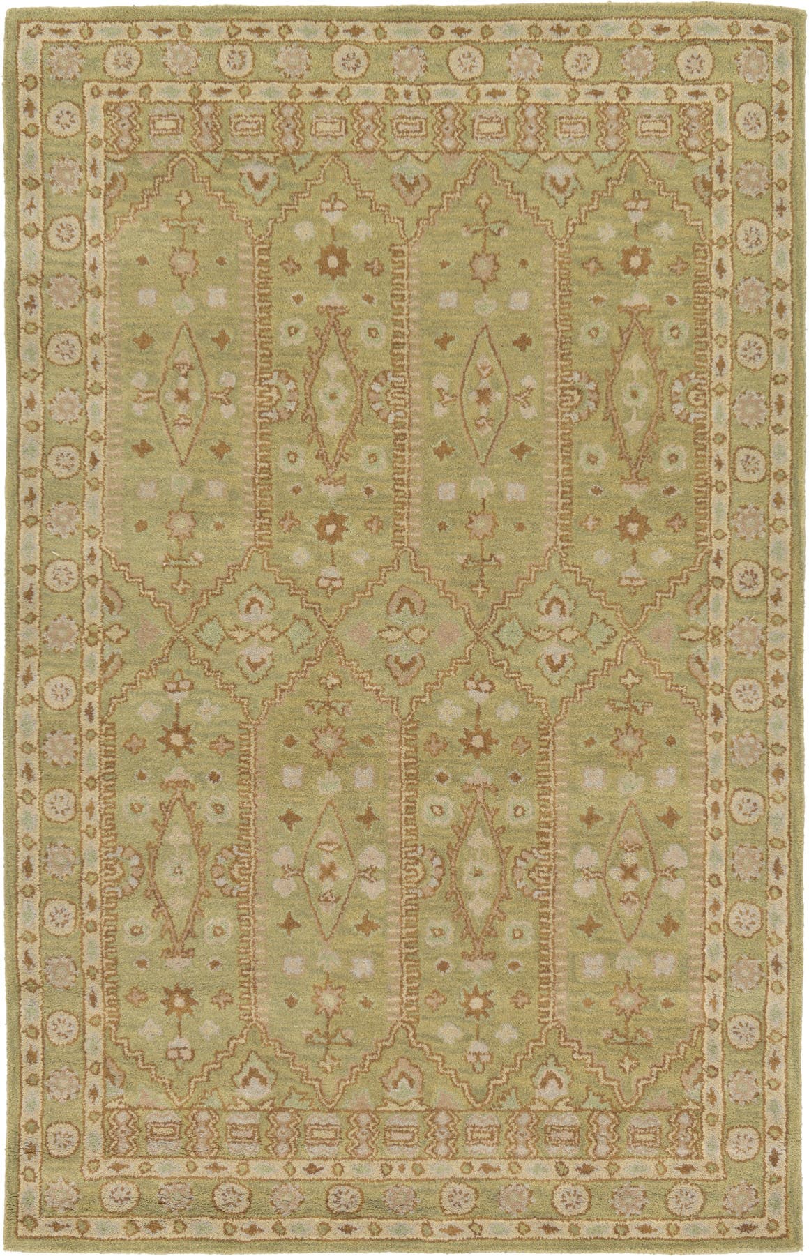 Light Green 5' x 7' 10 Classic Agra Rug | eSaleRugs