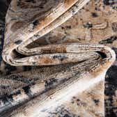 Dark Blue 2' 2 x 8' 6 Eliza Runner Rug | Rugs.com